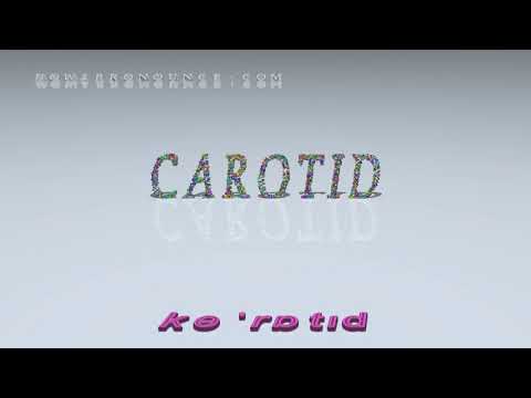 carotid - pronunciation + Examples in sentences and phrases