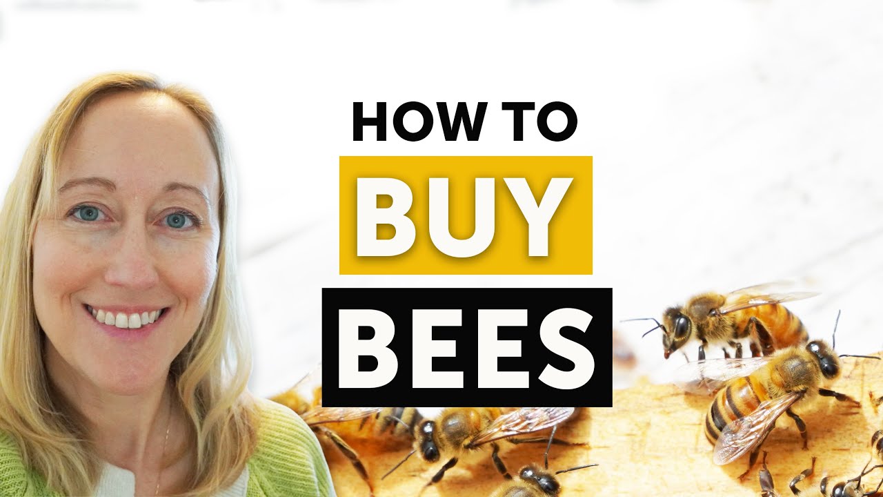 Buying Bees? Don't Make These Mistakes