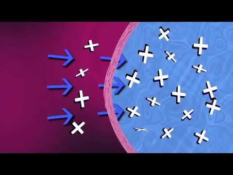 Fluids and Electrolytes: Electrolyte Imbalances