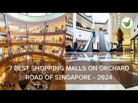 7 BEST SHOPPING MALLS ON ORCHARD ROAD OF SINGAPORE - 2024 GUIDE