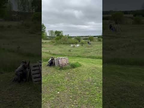 First game for our field! #fyp #airsoft #field #game #michigan