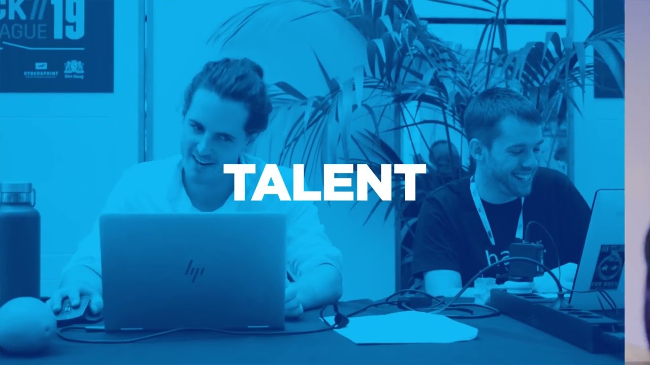 Introduction Security Delta HSD