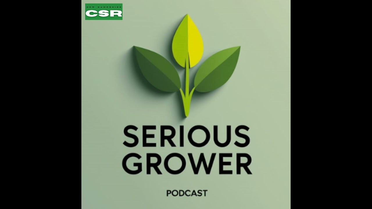 Will has his eyes peeled for swede midge