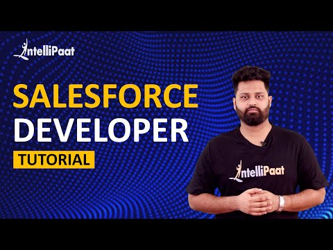 Salesforce Platform Developer 1 Certification Training | Salesforce Training Video | Intellipaat