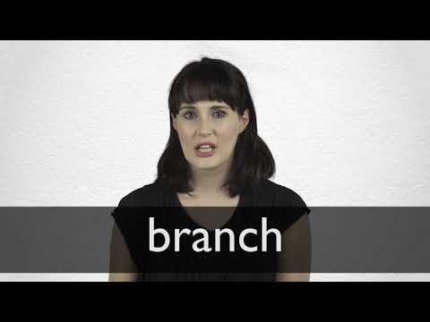 How to pronounce BRANCH in British English