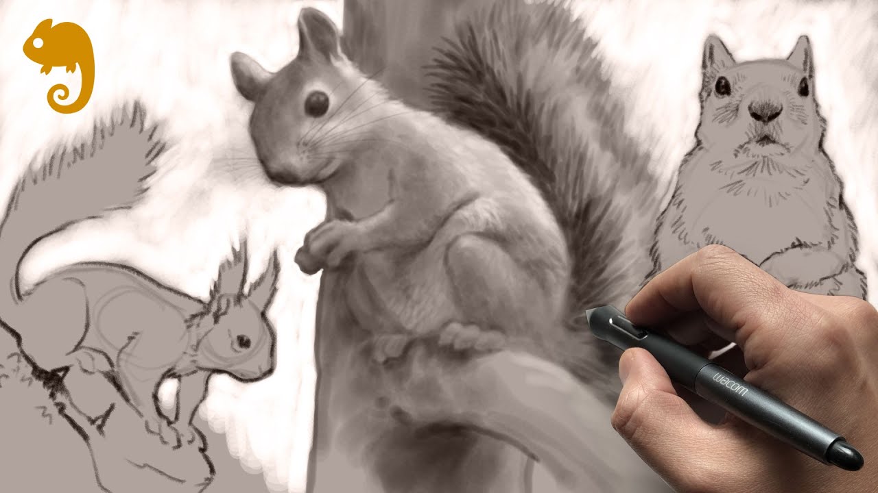 90MAC Life Drawing Class - SQUIRRELS