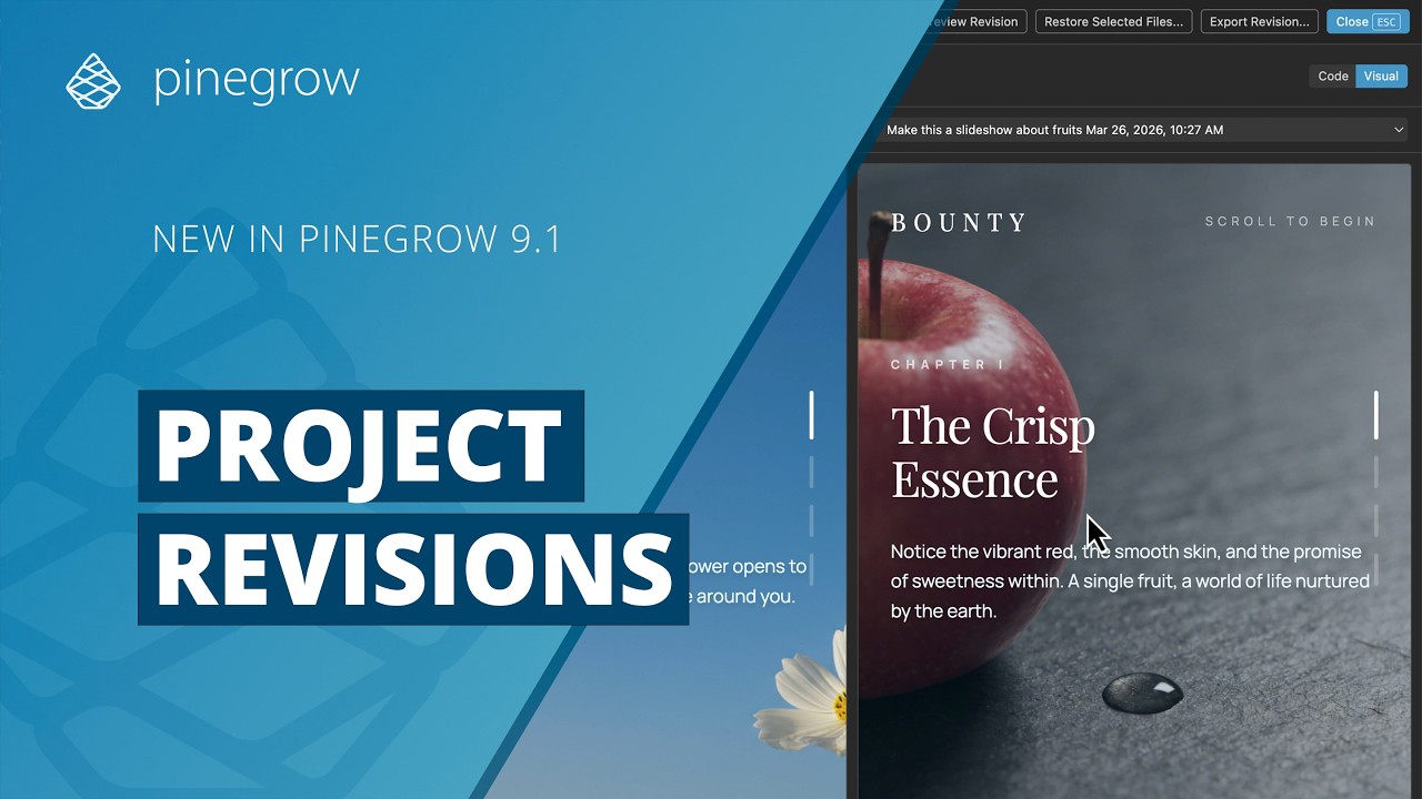 Project Revisions and Snapshots