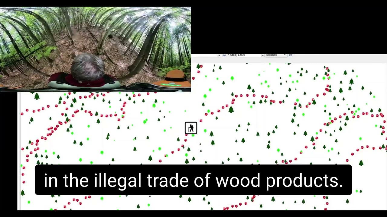 How Virtsilv is using AI to improve sustainable forest management