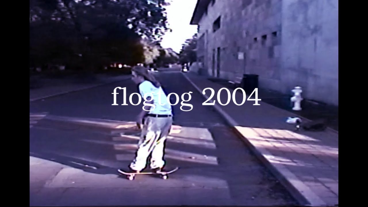flogtog 2004