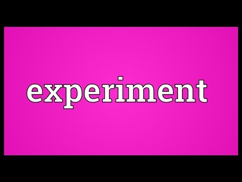 Experiment Meaning