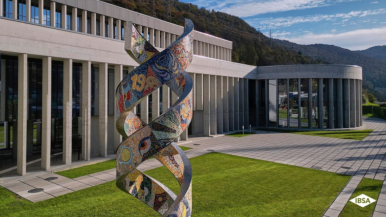 IBSA in (less than) 2 minutes - Corporate Video (ENG)