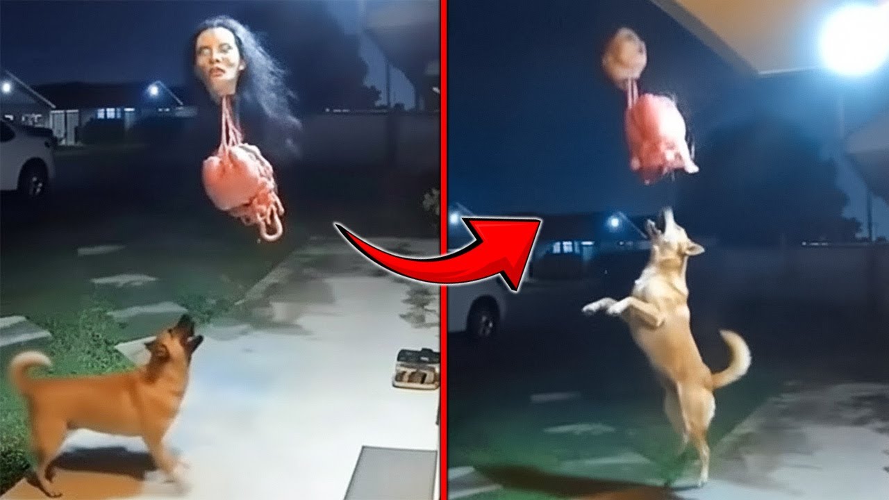 CCTV Captured Terrifying Videos That'll Give You Nightmares!
