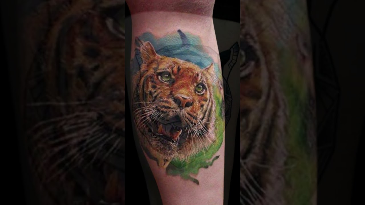 27 Amazing Tiger Tattoos