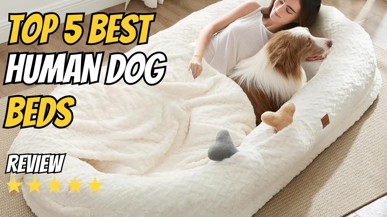 Top 5 Best Human Dog Beds 2026 🐶 | Sleep Like Your Pet! Most Comfortable & Cozy Picks