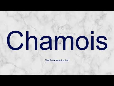 Chamois Pronunciation: How to Pronounce Chamois — How to Say Chamois?