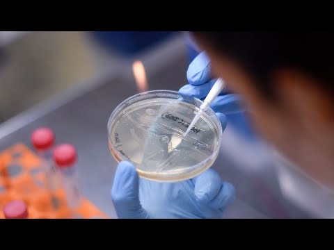 Former Google CEO Says Companies Should Own Any Covid Vaccine They Make