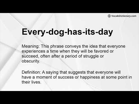 Every-dog-has-its-day Meaning