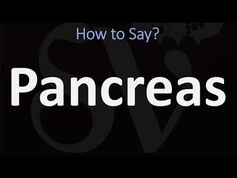 How to Pronounce Pancreas? (CORRECTLY)