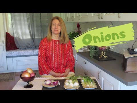 Onions - The Overview /DESPINA VARAKLAS/ - @@@ - What are they? Do you need them ? How to eat them.