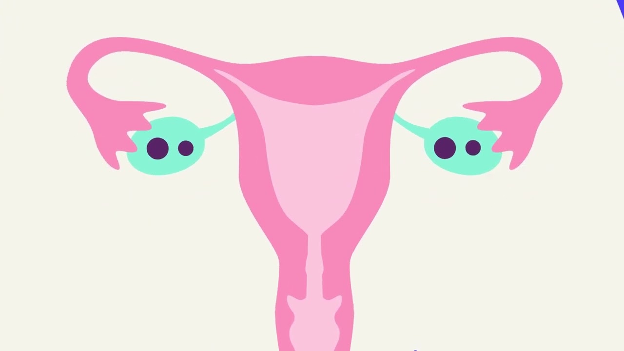 Vaginal ring contraceptive method: How does it work to prevent pregnancy?