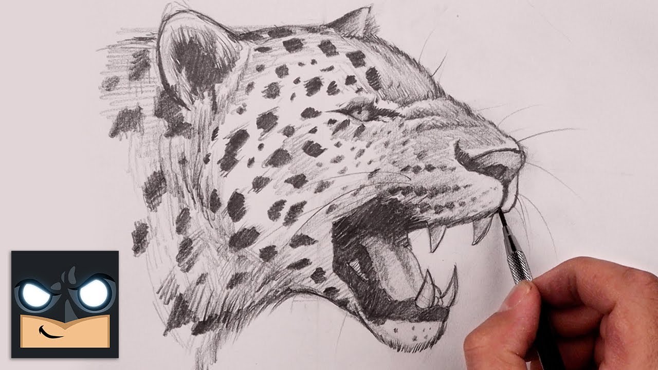 How To Draw a Leopard | Beginner Pencil Tutorial (Step-by-Step)