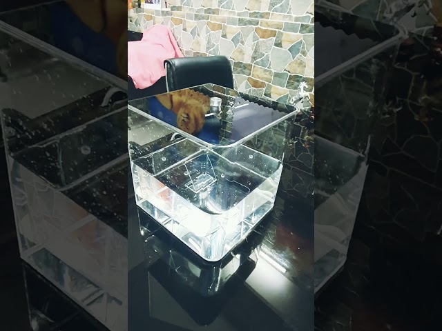 Acrylic Drop Box - Acrylic Donation Drop Boxes Manufacturer from Bengaluru