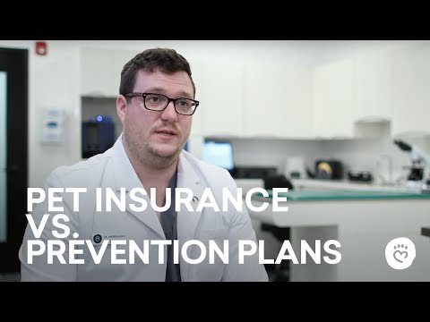 Pet Insurance vs. Prevention Plans: The Difference