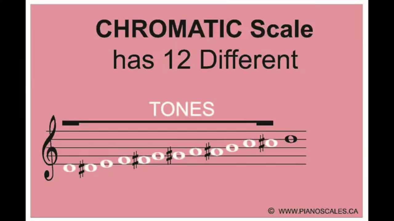 Learn Music Terms & Theory Rules with Flashcards