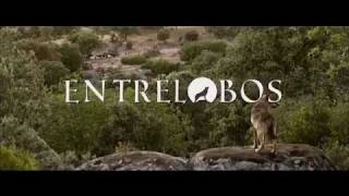 Entrelobos - película: Ver online completa en español