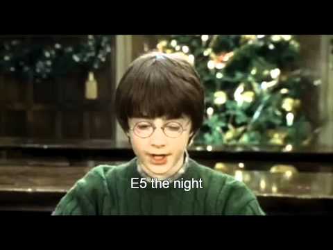 Harry Potter and the Sorcerer's Stone [with Chinglish subtitles]