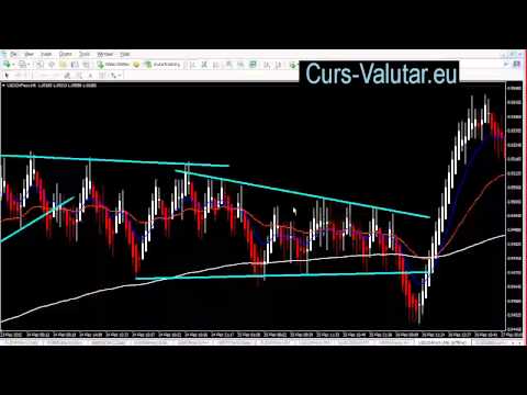 Curs Valutar Lei Euro