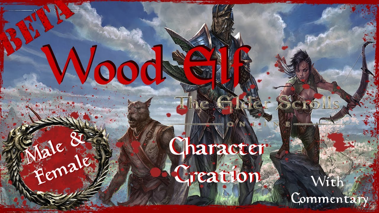 Elder Scrolls Online (ESO) - Wood Elf Character Creation With Commentary (Male & Female)