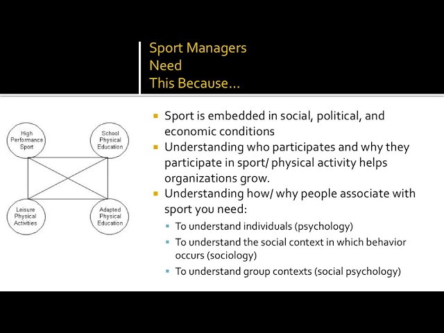 Understanding the Basics of Sports Sociology | Galaxy.ai