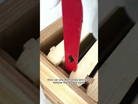 BeeCastle L-hook and J-hook introduction. The essential tools for beekeeping.