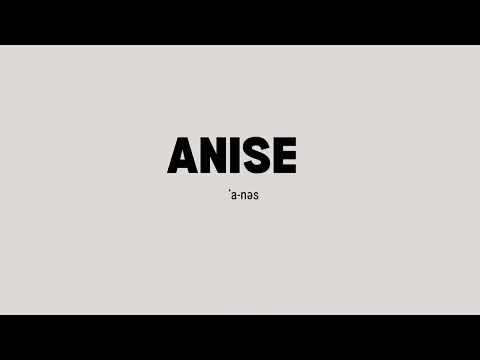 How to pronounce ANISE