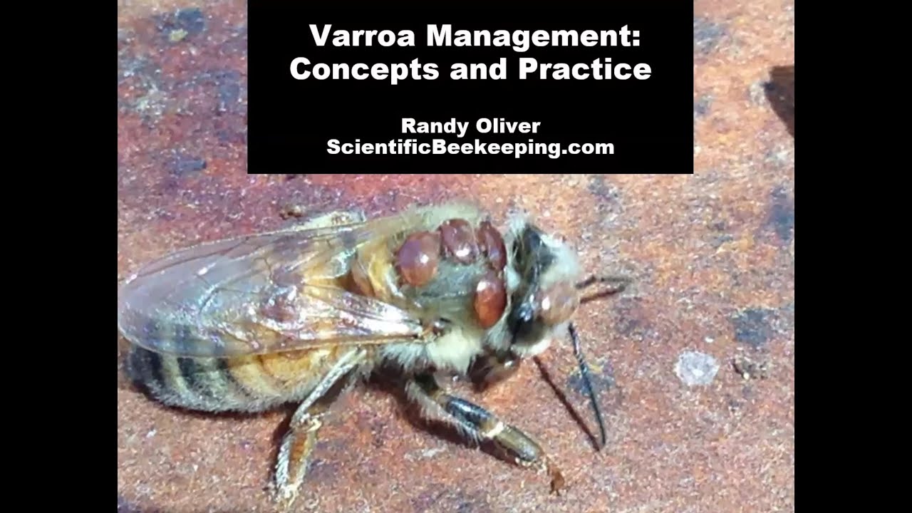 Randy Oliver: Varroa Management, Concepts and Practice