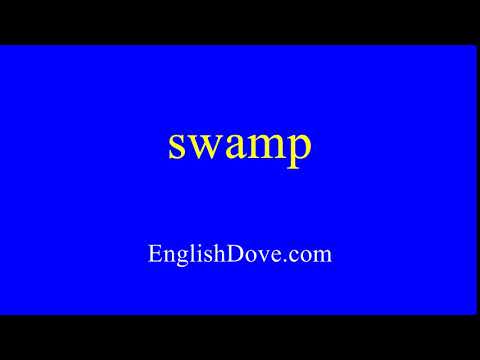 How to pronounce swamp in American English.