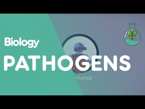 What Are Pathogens? | Health | Biology | FuseSchool