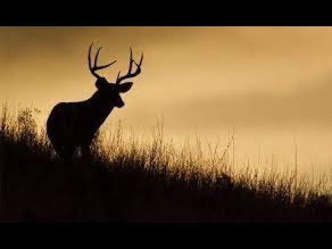Hunting Season and the Return of Christ | Unashamed of Jesus
