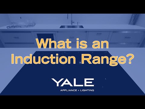Induction Cooktops (Ratings/Reviews/Prices)