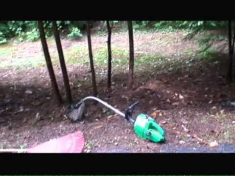 Pruning Trees in Wooded Area