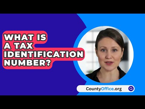 What Is a Tax Identification Number? - CountyOffice.org