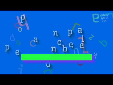 PALEOENCEPHALON - HOW TO PRONOUNCE PALEOENCEPHALON? #paleoencephalon