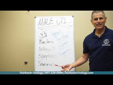 Frequent UTI's for Guys... | Fairbanks Urology