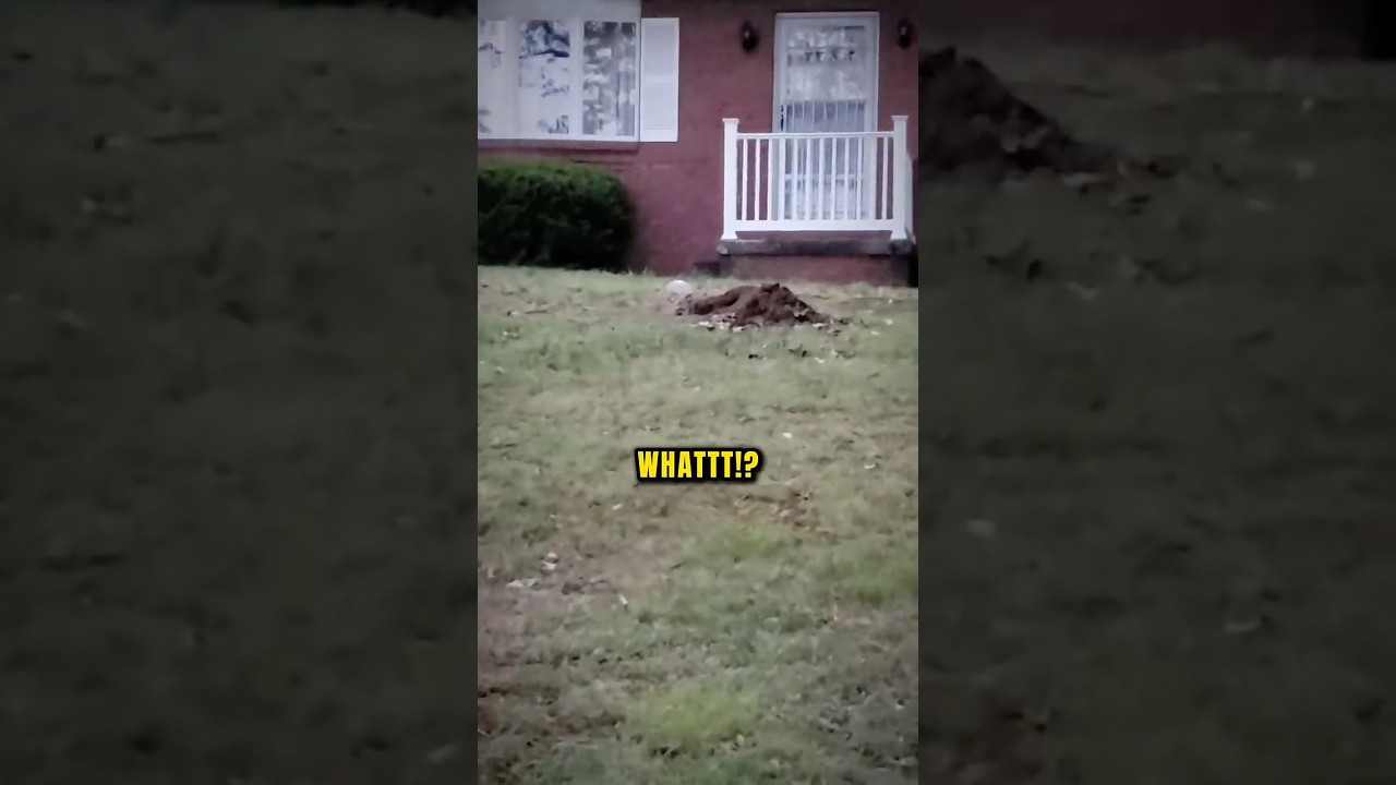 Something Was Watching Them...