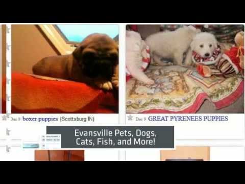 Craigslist Evansville : Local Cars, Trucks, Free Stuff, Personals, Boats, Electronics, Homes