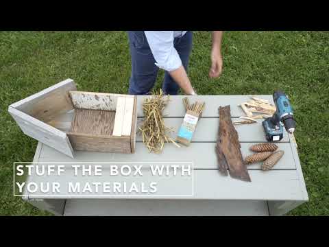 How to Build an Insect Hotel and Why You Should