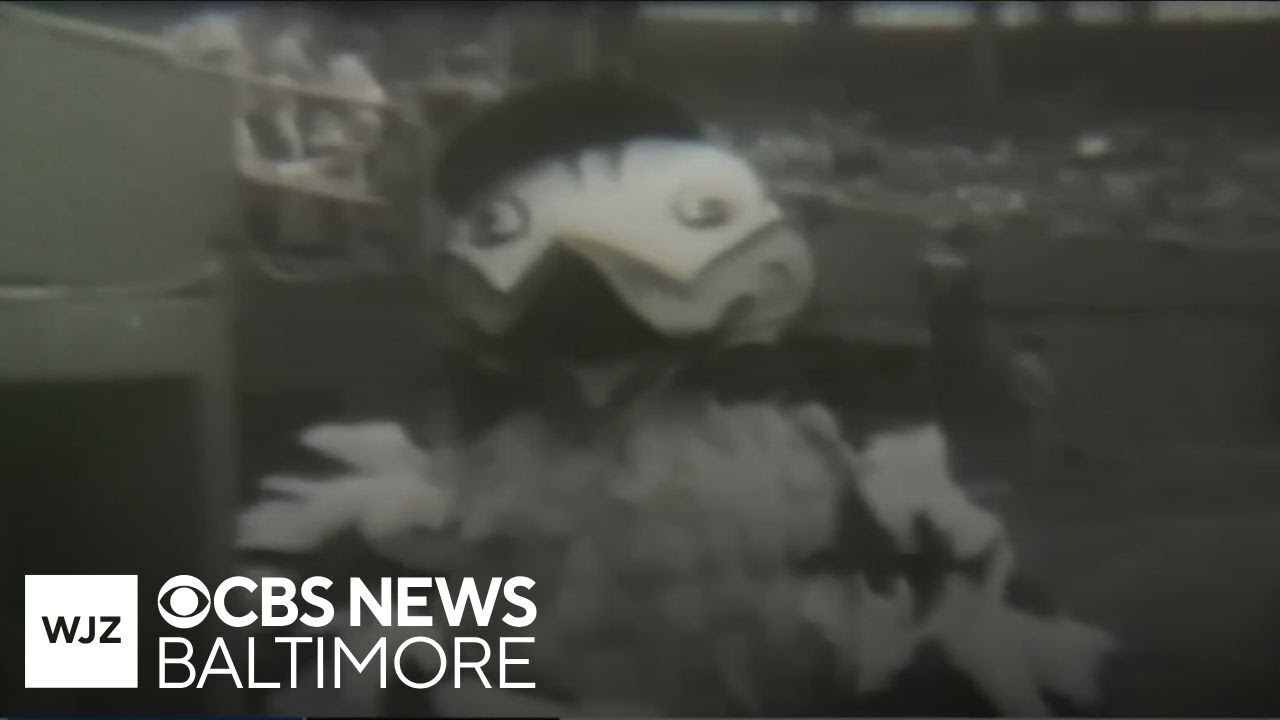 The evolution of the Baltimore Orioles’ mascot