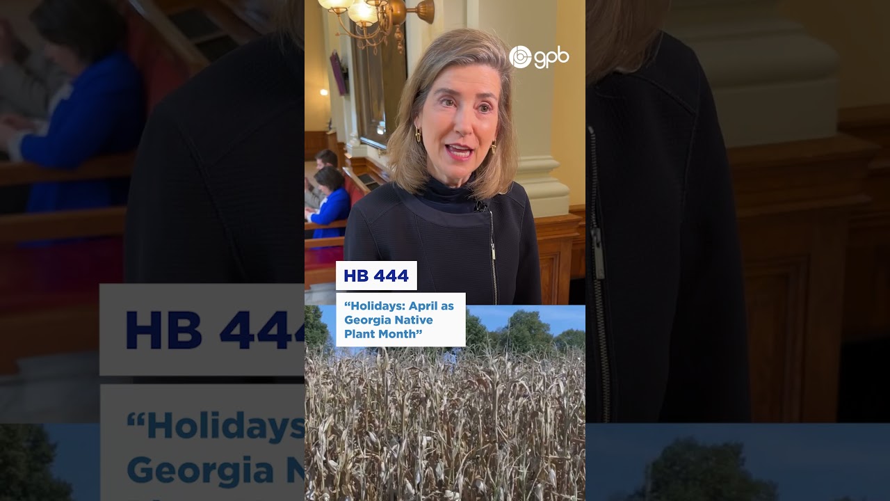 Fun Bills from the 2025 Georgia Legislature | Lawmakers