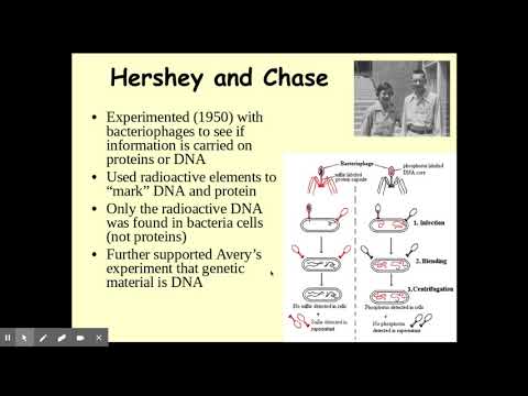 Shelton Bio Mon, 4/6: DNA Structure Lesson 1